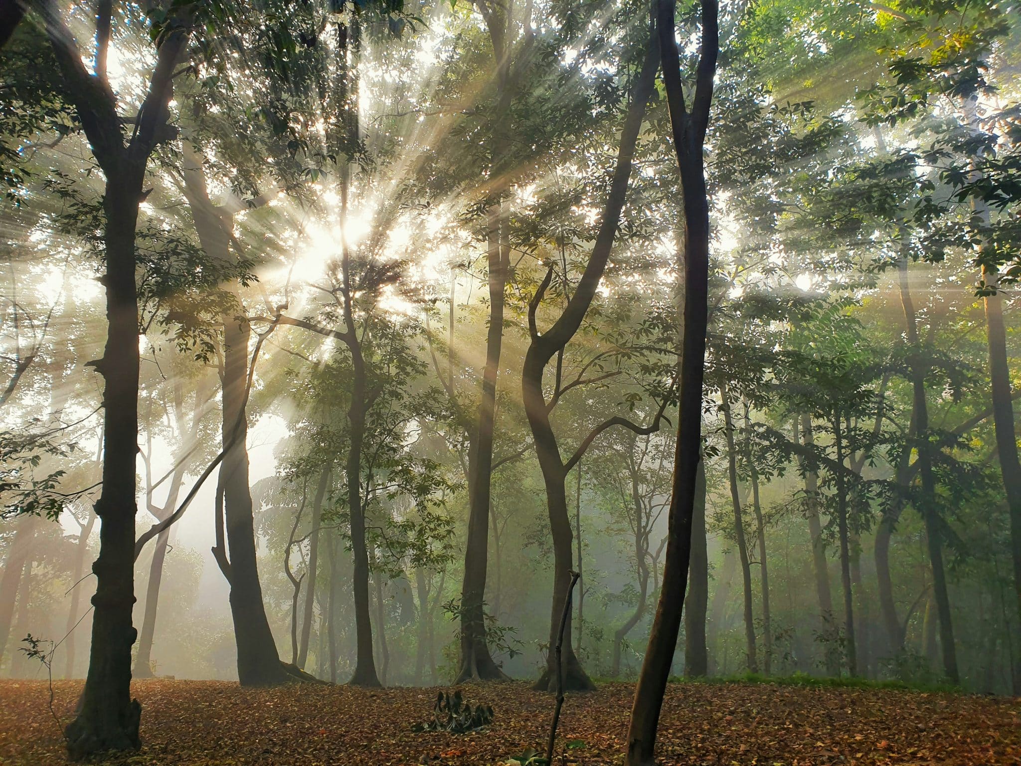 Discover the Joy of Understanding Life Beyond the Material